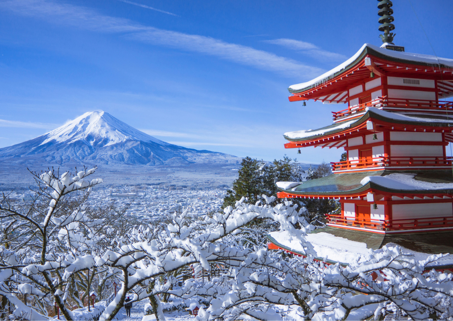 Mt. Fuji - Reseguide till Japan - Japanspecialist
